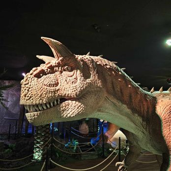 JURASSIC GARDENS - Updated September 2025 - 44 Photos - 27582 Volo ...