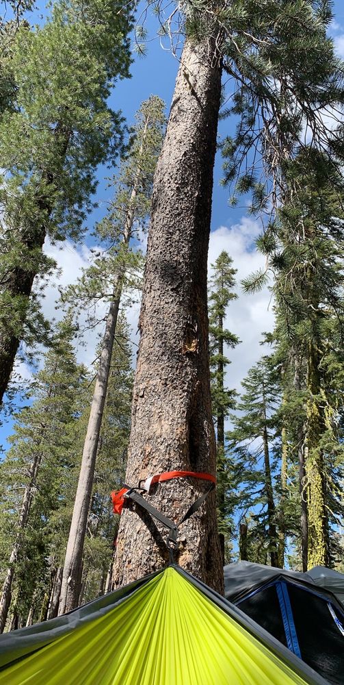 SNAG LAKE CAMPGROUND - Updated June 2024 - 16 Photos - Sierra City ...