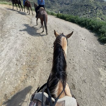 SUNSET RANCH HOLLYWOOD STABLES - Updated May 2024 - 1086 Photos & 833 ...
