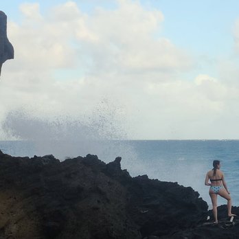 COCKROACH COVE - Updated September 2025 - 90 Photos & 25 Reviews - 8450 ...