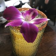 AZUL MEXICAN FOOD AND TEQUILA BAR - 543 Photos & 732 Reviews - Mexican ...