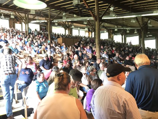 CARTER FAMILY FOLD - 47 Photos & 11 Reviews - 3449 Ap Carter Hwy ...