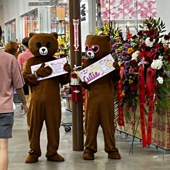 TOKYO KUMA - Updated June 2024 - 57 Photos & 18 Reviews - 3875 Venture ...