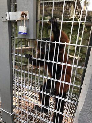 BEE CITY ZOO - Updated July 2024 - 375 Photos & 105 Reviews - 1066 ...