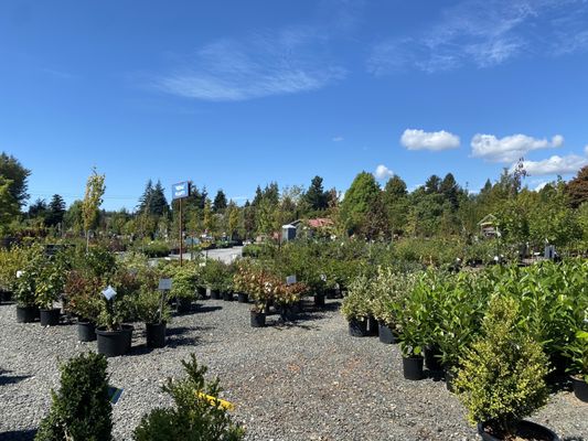 KENT’S GARDEN & NURSERY - 21 Photos & 17 Reviews - 5428 Northwest Dr ...