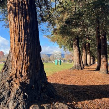 SERRA PARK - Updated May 2025 - 159 Photos & 56 Reviews - 739 The ...