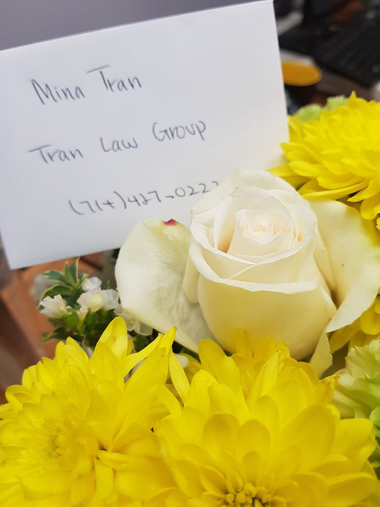 TRAN LAW GROUP - Updated May 2024 - 50 Photos & 22 Reviews - 13950 ...