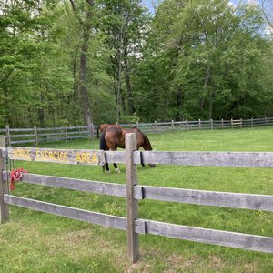 NEVERS PARK - 22 Photos - 150 Nevers Rd, South Windsor, Connecticut ...