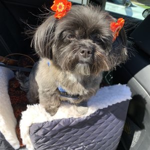 HIGH PROFILE OF SPRINGFIELD, IL DISPENSARY - Updated May 2025 - 4211 ...