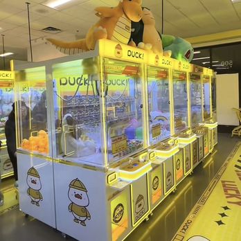 DUCK - Updated December 2025 - 57 Photos & 34 Reviews - 1004 Diffley Rd ...