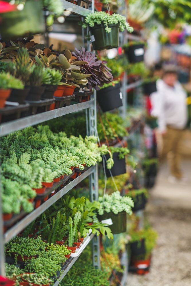 MAHONEY’S GARDEN CENTER - Updated March 2025 - 71 Photos & 123 Reviews ...