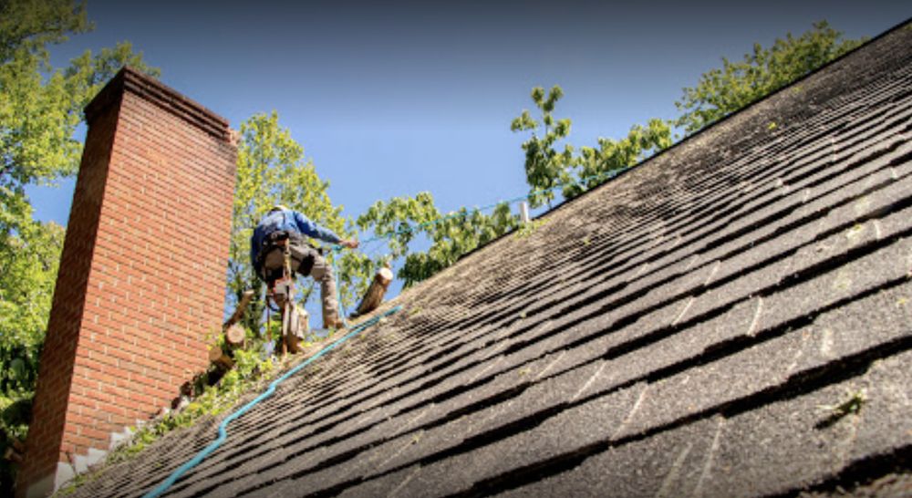 JC PROPERTY PROFESSIONALS - Updated May 2026 - 35 Photos - 1767 East ...