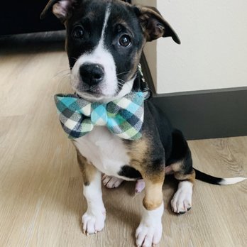 MAMCO - Updated January 2026 - 68 Photos & 18 Reviews - Englewood ...