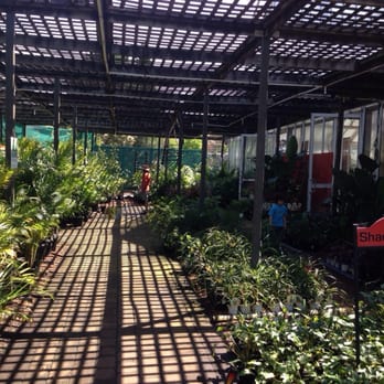 Flower Power Enfield Cafe | Best Flower Site