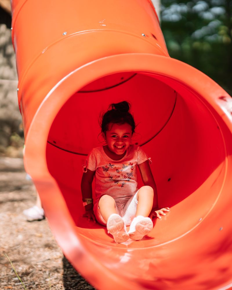 TREETOP TREKKING - Updated December 2025 - Request a Quote - 5050 ...