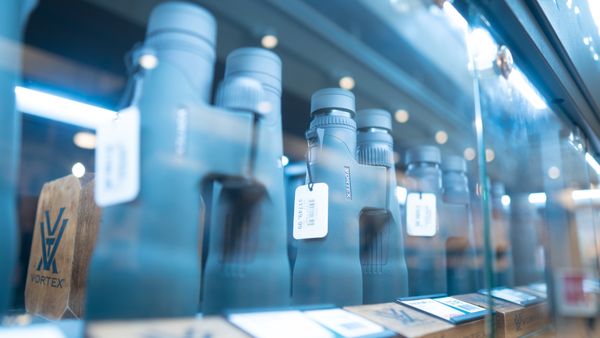 SCHEELS - Updated December 2025 - 317 Photos & 262 Reviews - 11282 S ...