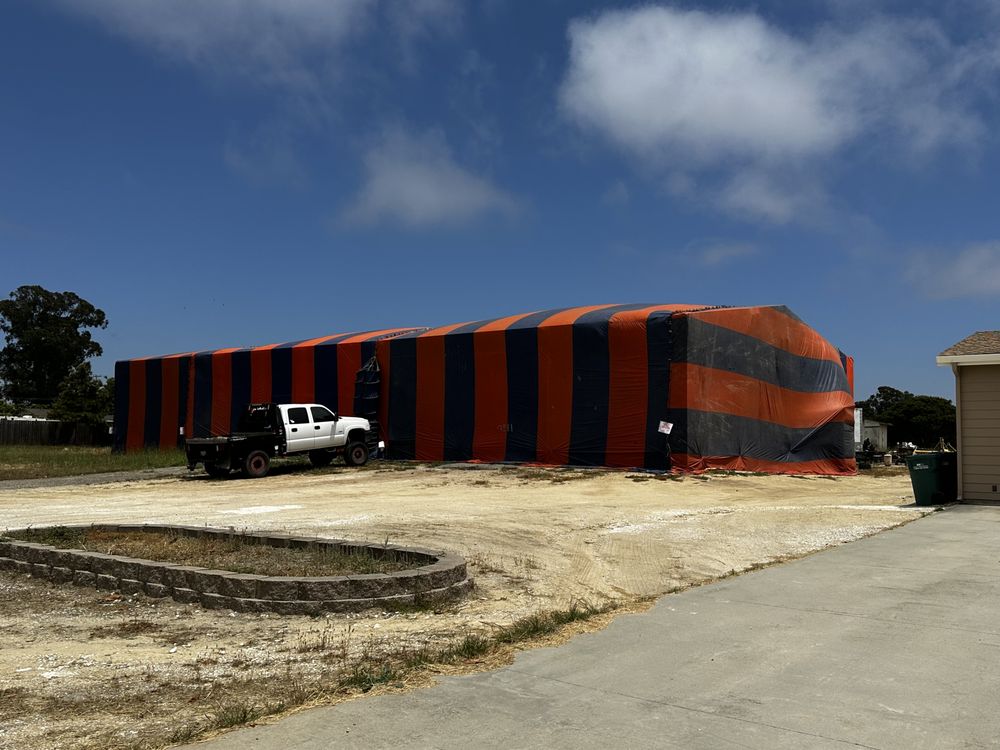 101 EXTERMINATORS - Updated October 2025 - 13 Reviews - 1628 N Main St ...