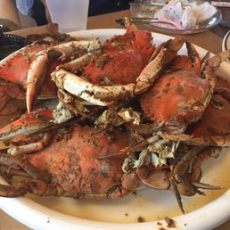 MIKE’S BAR & CRAB HOUSE - Updated May 2025 - 1251 Photos & 1238 Reviews ...