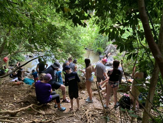 JUDD TRAIL - Updated June 2025 - 375 Photos & 103 Reviews - Nuuanu Pali ...