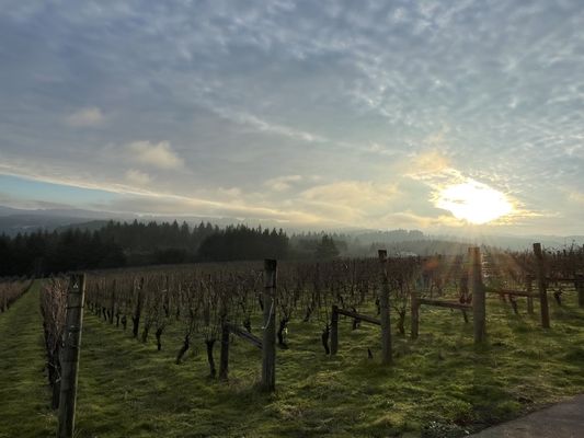 RUBY VINEYARD AND WINERY - Updated July 2025 - 85 Photos & 56 Reviews ...