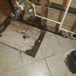 ROOTER PLUS - 57 Photos & 171 Reviews - 5834 Bethelview Rd, Cumming ...