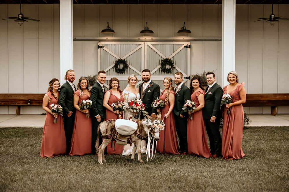 FLORIDA BEER BURROS - Updated October 2025 - Request a Quote - 36 ...