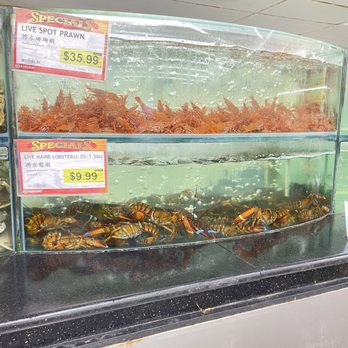 99 RANCH MARKET - Updated June 2025 - 997 Photos & 315 Reviews - 338 ...