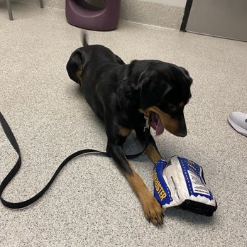 NEBRASKA HUMANE SOCIETY - Updated January 2026 - 49 Photos & 104 ...