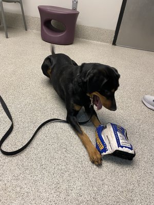 NEBRASKA HUMANE SOCIETY - Updated September 2025 - 46 Photos & 100 ...