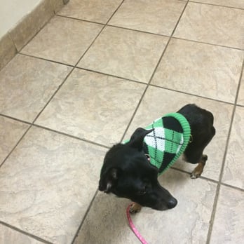 GREATER BIRMINGHAM HUMANE SOCIETY - Updated October 2025 - 50 Photos ...