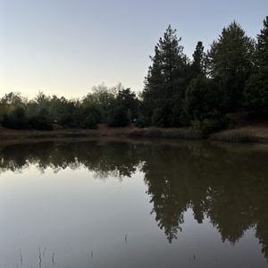 PINEZANITA CAMPGROUNDS & RV PARK - 112 Photos & 95 Reviews - 4446 Hwy ...