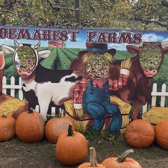 DEMAREST FARM - Updated May 2024 - 772 Photos & 332 Reviews - 244 ...