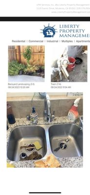 LIBERTY PROPERTY MANAGEMENT - Updated July 2024 - 20 Photos & 365 ...