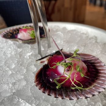 SALT TRADERS ZILKER - Updated July 2024 - 846 Photos & 461 Reviews ...