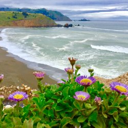 CITY OF PACIFICA - 169 Photos & 25 Reviews - Municipality - 170 Santa ...