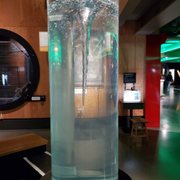EXPLORATORIUM AFTER DARK - 365 Photos & 191 Reviews - Museums - Pier 15 ...