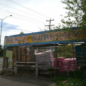 GARDENWORLD NURSERY - Updated April 2025 - Springvale Rd, Keysborough ...