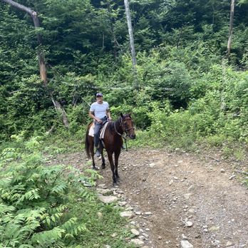 SUGARLANDS RIDING STABLE - Updated July 2025 - 131 Photos & 130 Reviews ...