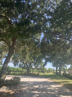 THE CITRUS PLACE - Updated June 2025 - 35 Photos & 40 Reviews - 7200 US ...