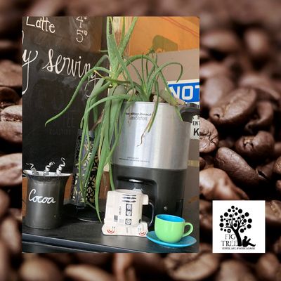 THE FIG TREE COFFEE, ART, & MUSIC LOUNGE - 247 Photos & 206 Reviews ...