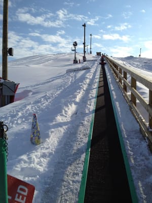 GEORGINA ROC - Updated October 2024 - Civic Centre Rd, Georgina ...