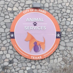 THE RUSTY PONY RANCH AND COMPANION ANIMAL RESCUE & SANCTUARY - 6920 ...