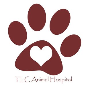 STEVENS ANIMAL HOSPITAL - Updated December 2025 - 31 Photos & 63 ...