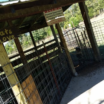 PICKLES GAP VILLAGE - Updated December 2025 - 19 Photos - 315 Hwy 65 N ...