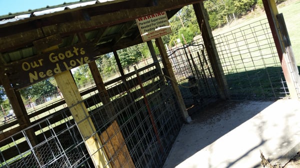 PICKLES GAP VILLAGE - Updated December 2025 - 19 Photos - 315 Hwy 65 N ...