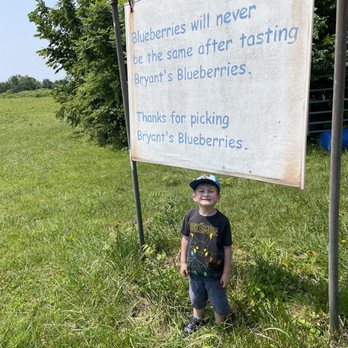BRYANT BLUEBERRY FARM - Updated June 2024 - 31 Photos - 6900 Oak Park ...