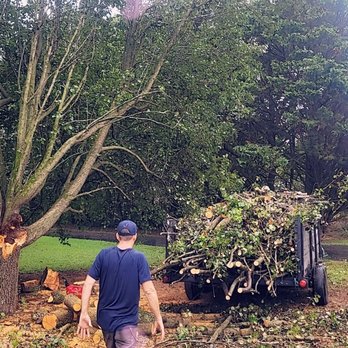 BRIAN’S TREE AND HANDYMAN SERVICES - Updated October 2025 - Athens ...