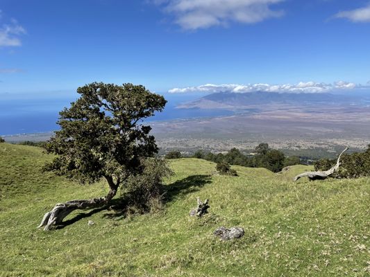 THOMPSON RANCH AND RIDING STABLES - Updated October 2025 - 57 Photos ...