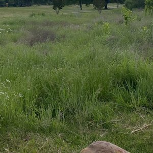 THE GOLF RANCH - Updated November 2025 - 33 Reviews & 15 Photos - 3570 ...