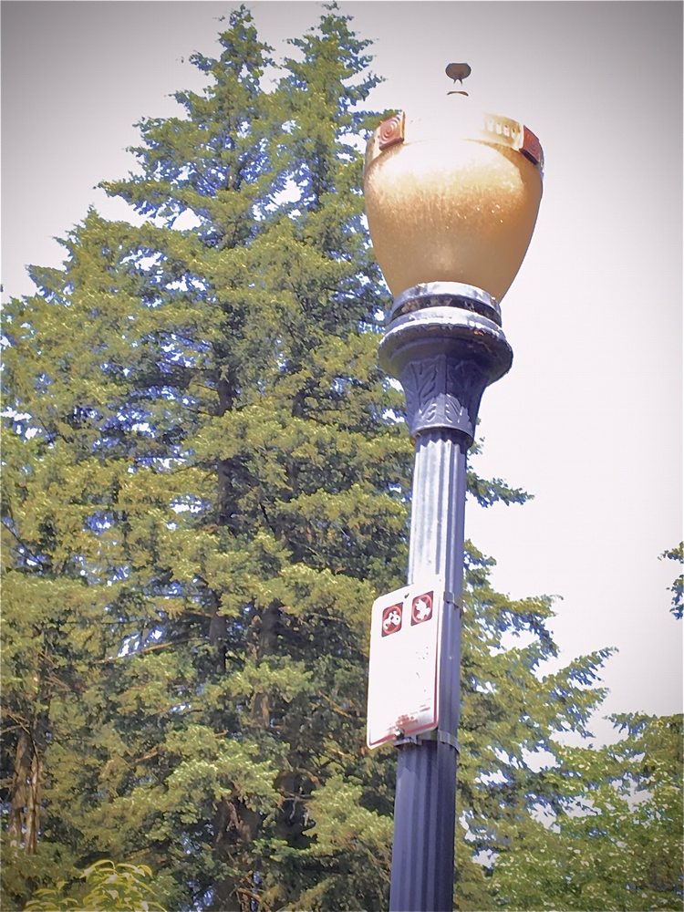 PORTLAND MEMORY GARDEN - Updated May 2024 - 24 Photos - 10401 SE Bush ...